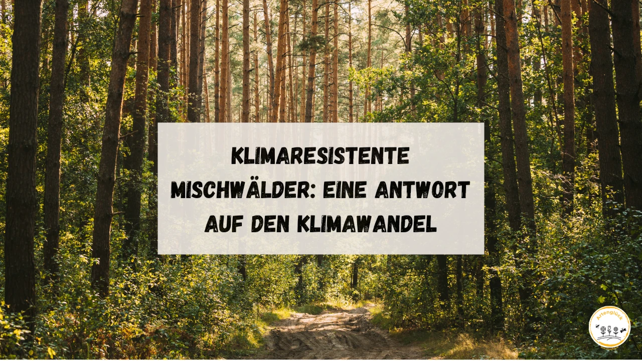 Verwunderlich Klimaresistente Bãume Liste Bilder